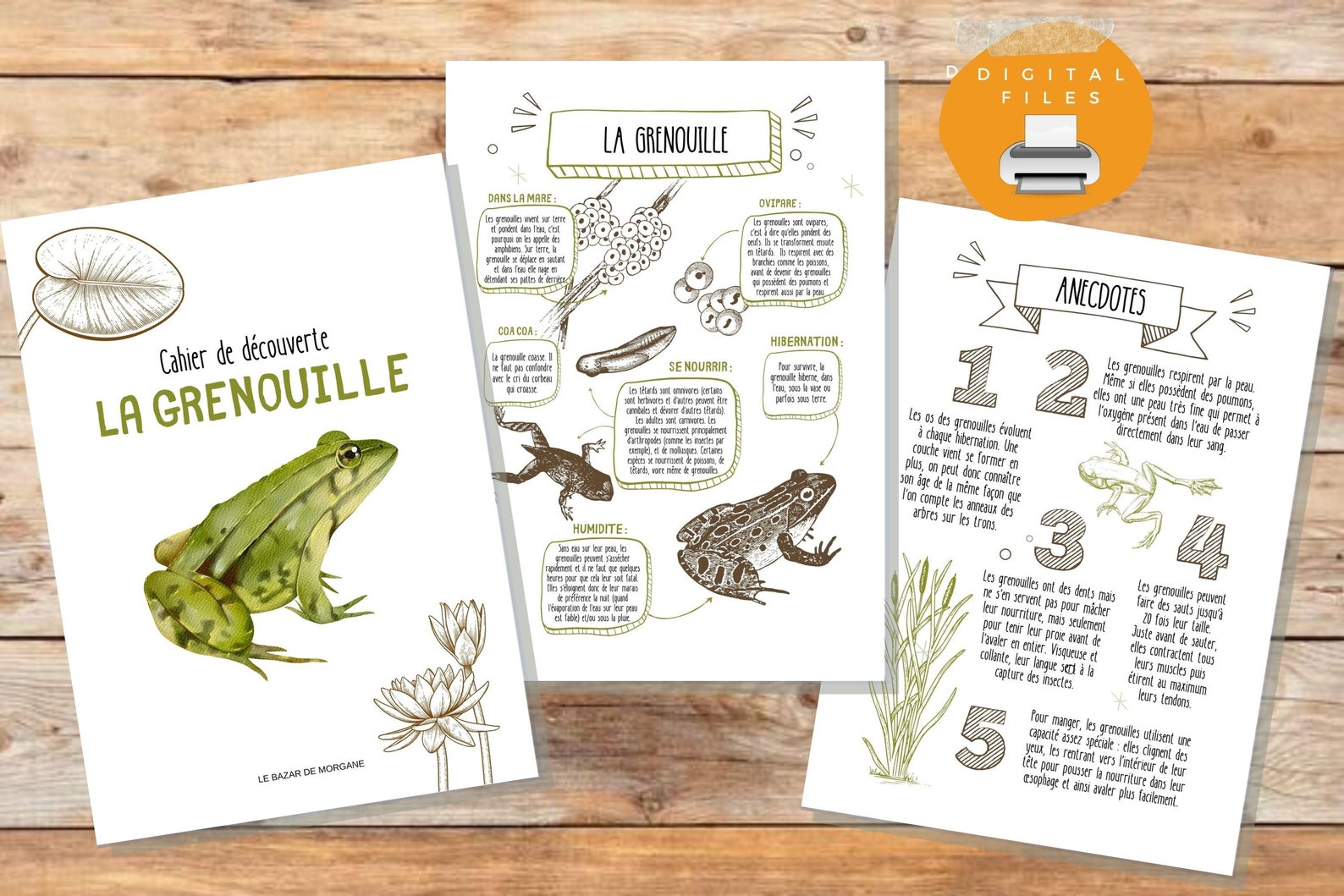 Cahier de Découverte La Grenouille pour apprendre et | Etsy