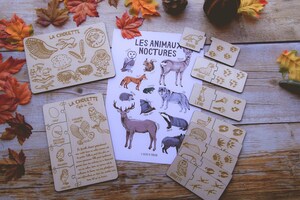 Animals Matching Skin Pattern Learning Game Toddler Pre-k - Etsy Canada