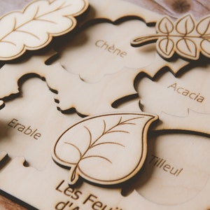 Puzzle en bois éducatif pour découvrir les feuilles des arbres - Etsy ...
