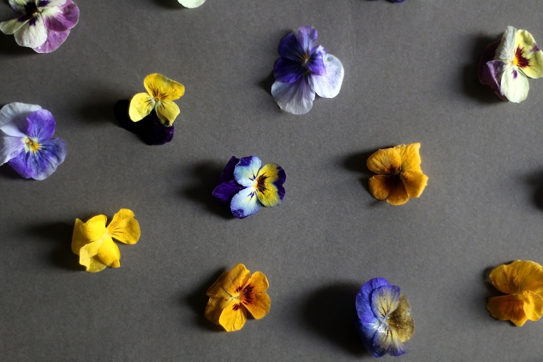 Edible Dried Pansies 60-80pcs 2gr,wedding Cake Decorations, the Art of ...