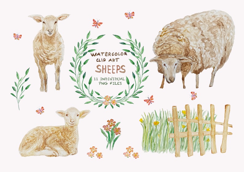 LAMBS Watercolor Digital Clipart 11 PNG Files, Easter Lamb Clipart ...