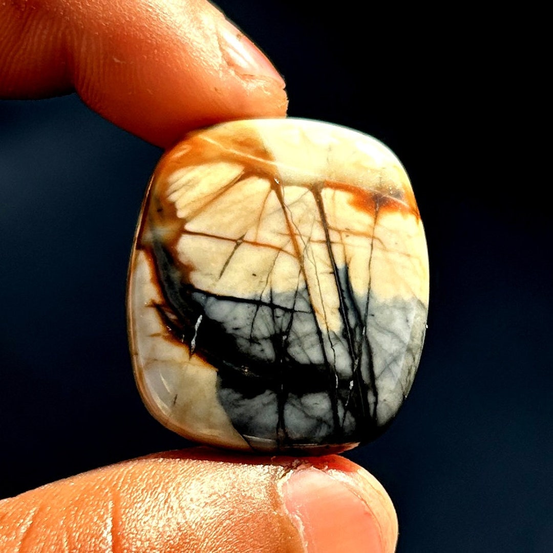 Picasso Jasper Beautiful Picasso Jasper Cushion Shaped for Making ...