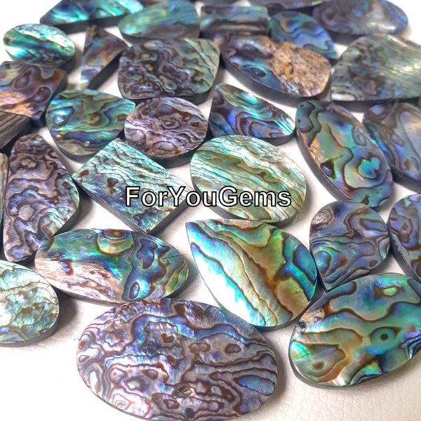 Abalone Blank - Etsy