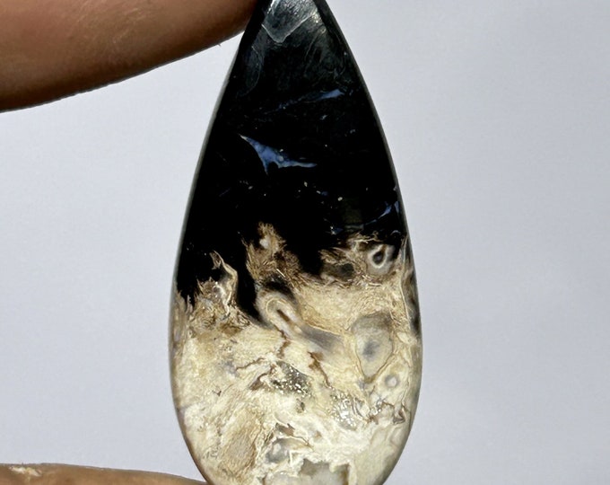 Palm Root Gemstone Pear Shape Palm Root Gemstone for Making Jewelry and ...