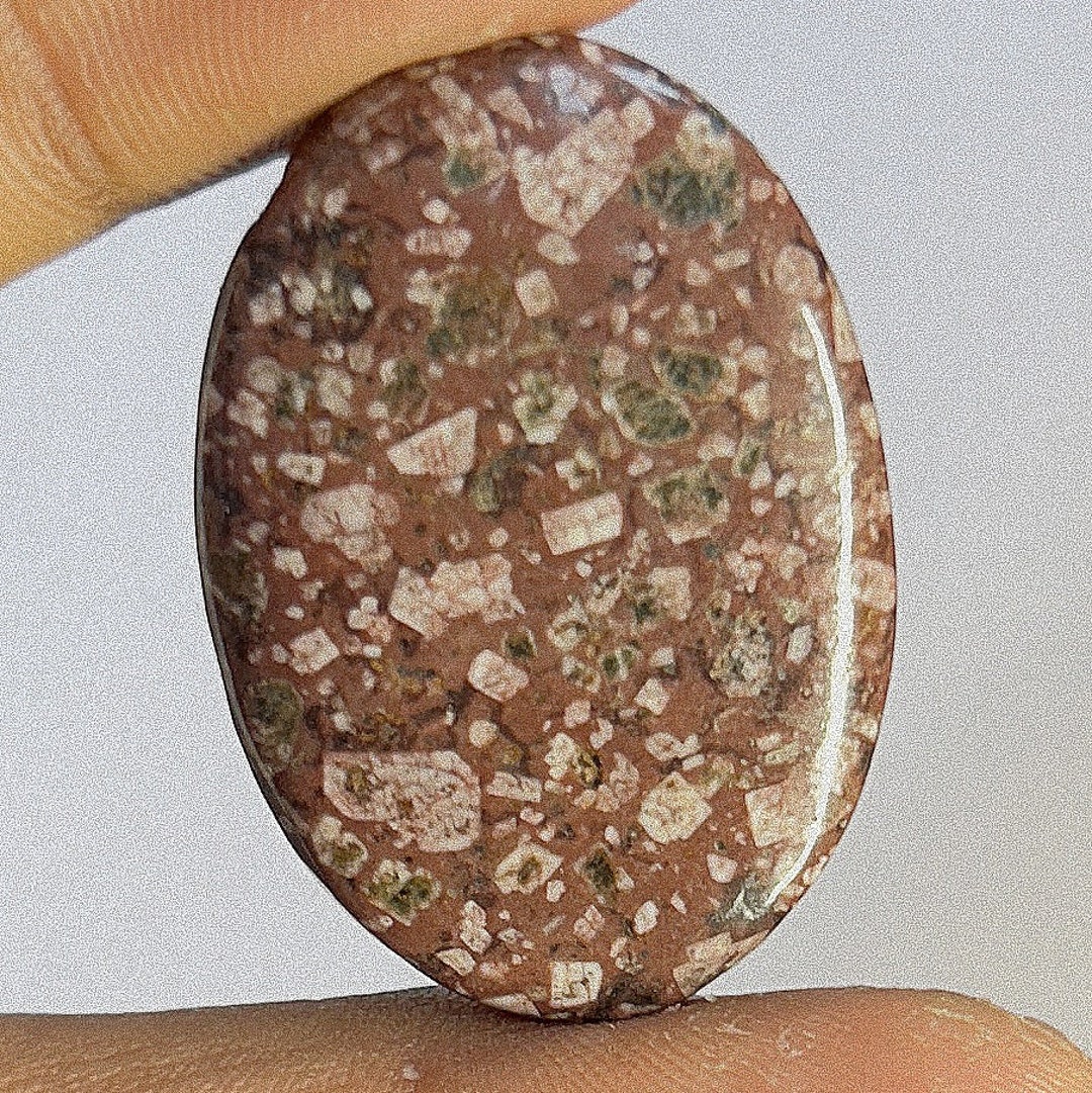 Dinosaur Bone Oval Shaped Dinosaur Bone for Making Jewelry and Things ...