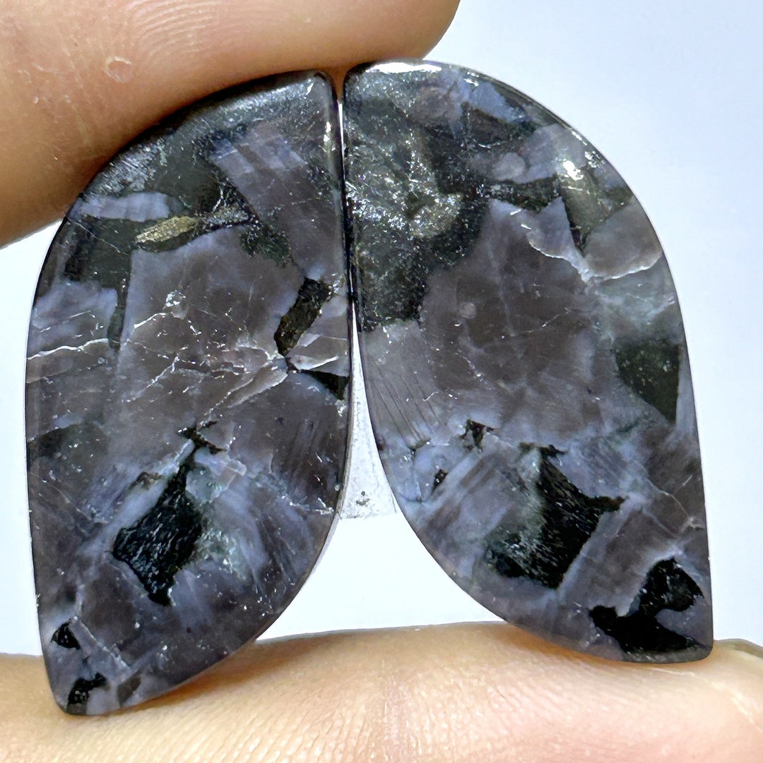 Gabbro Jasper Pair Fancy Shape Gabbro Jasper Pair for Making Jewelry and Things. C-1454 ...