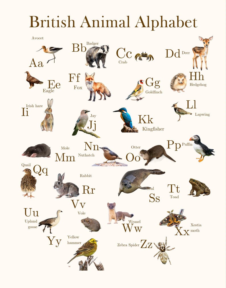 Nature Alphabet Chart, Animal Alphabet Coloring Pages, British Wildlife ...