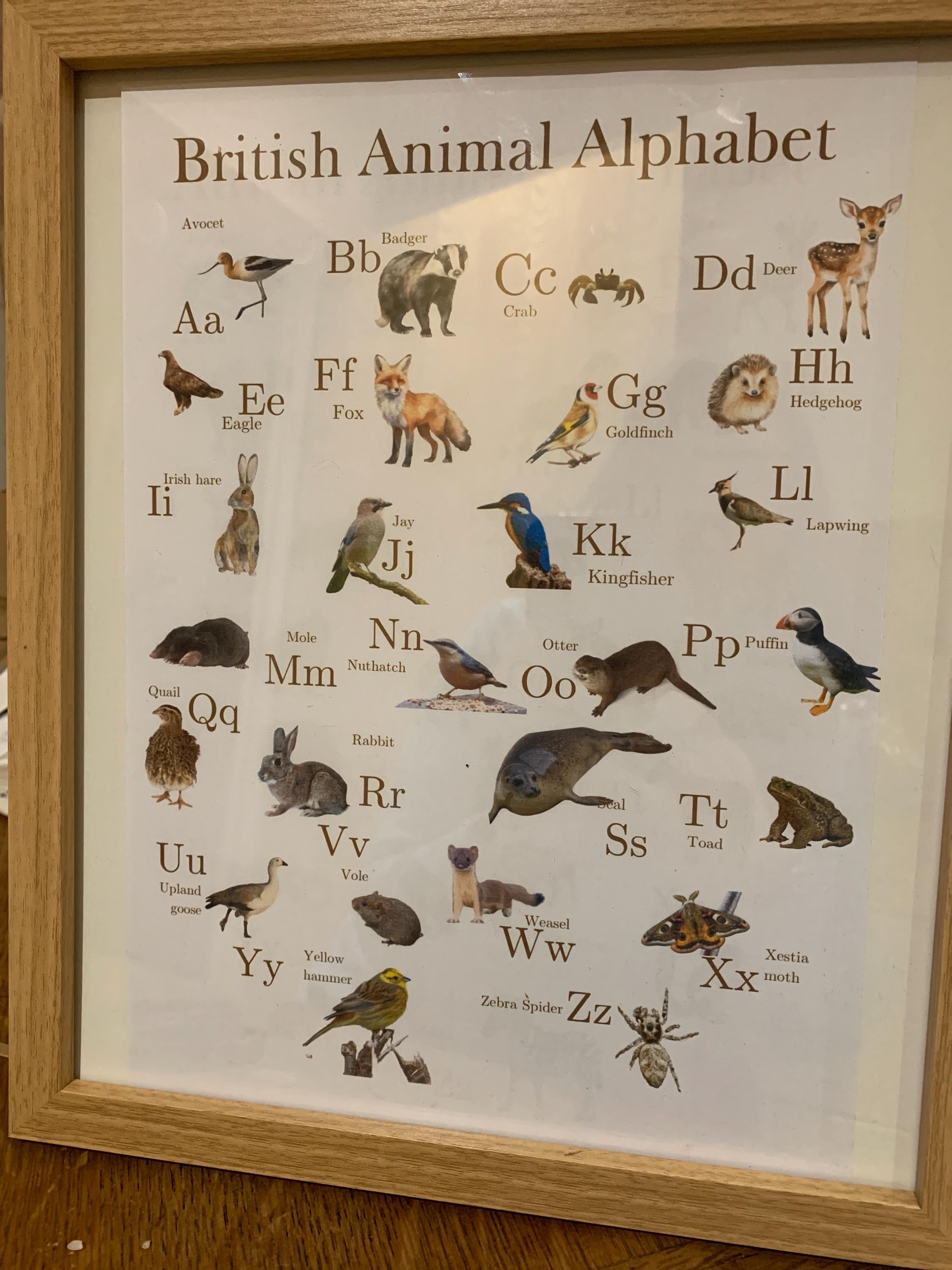 Nature Alphabet Chart, Animal Alphabet Coloring Pages, British Wildlife ...