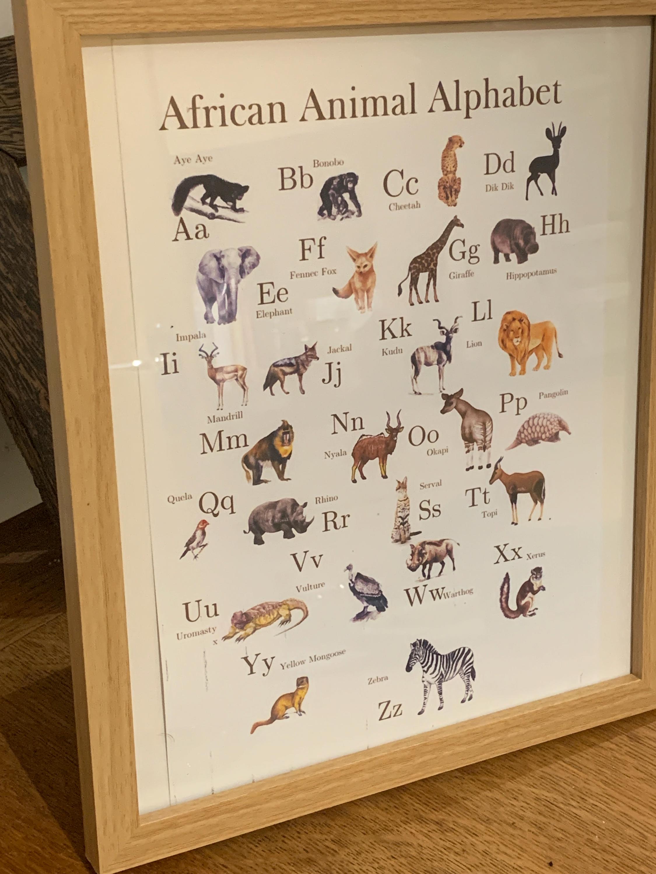 African Animals Alphabet Poster: Educational Wall Art - Etsy