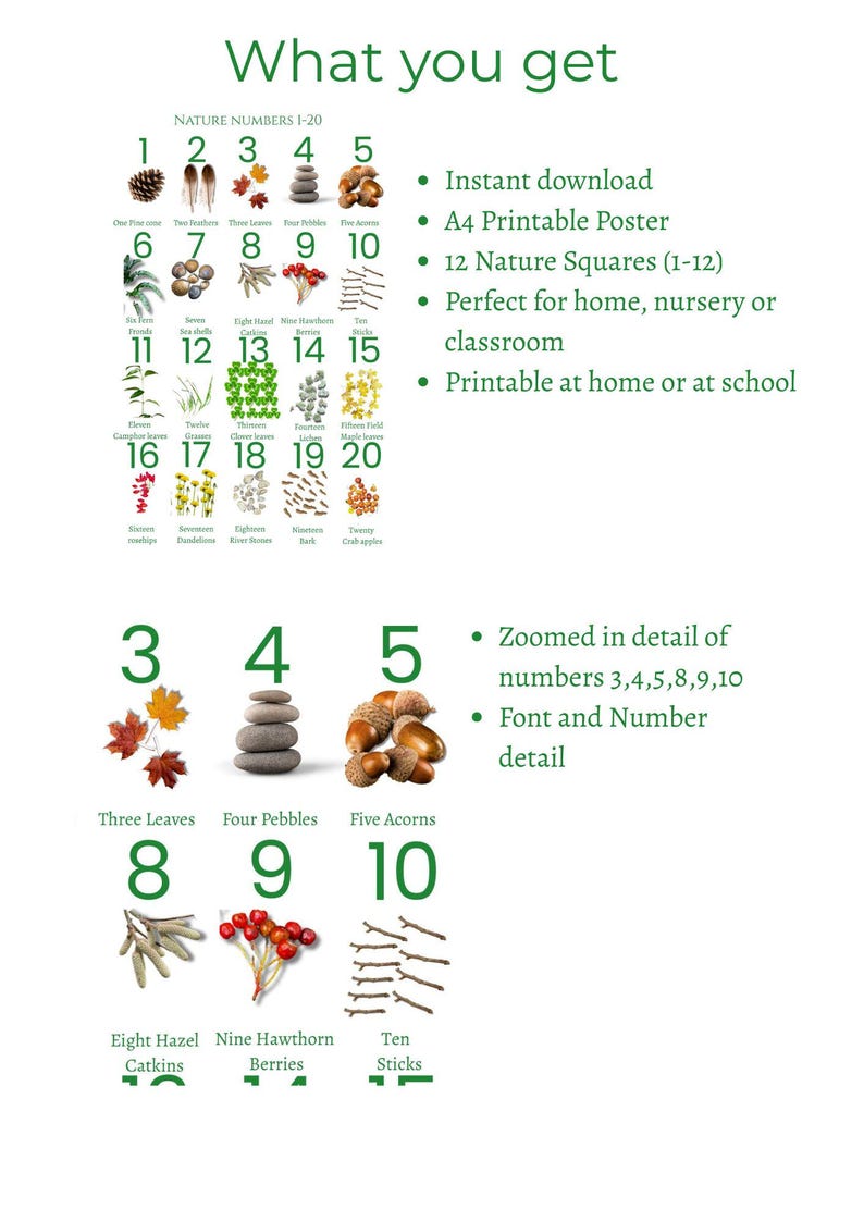 Nature Numbers 1-20 Poster| Montessori Counting | Natural Objects ...