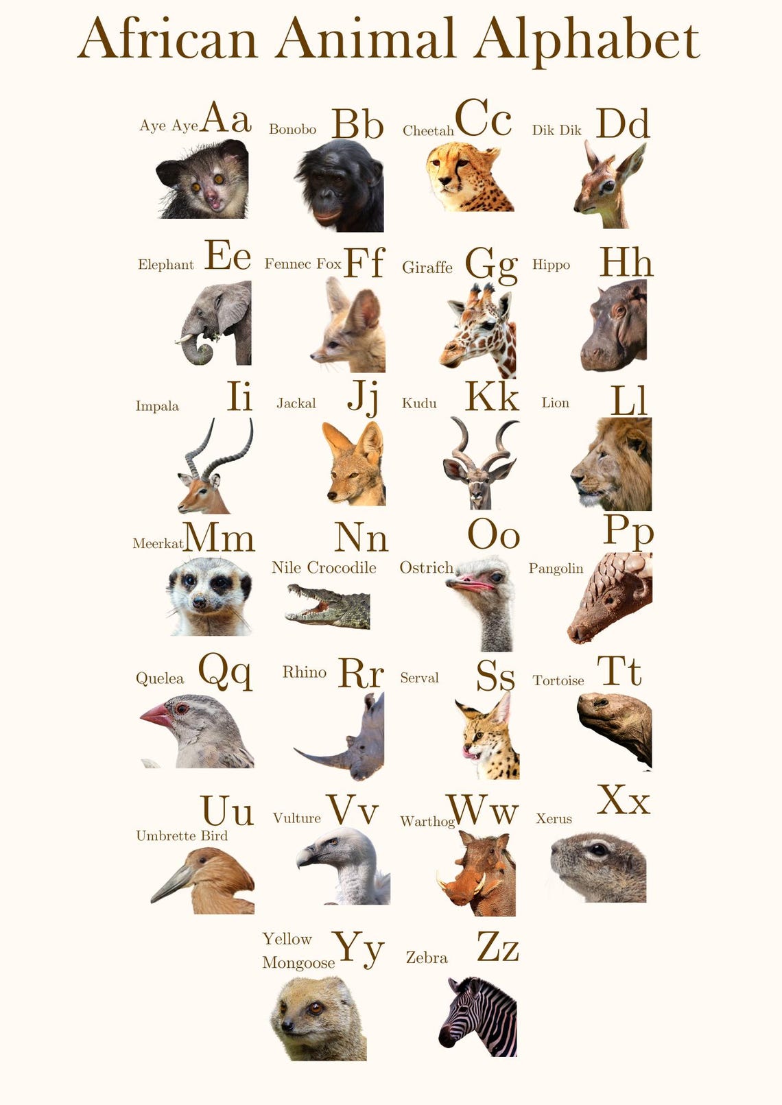 African Animal Alphabet Poster | Safari ABC Print | Nursery Wall Art ...