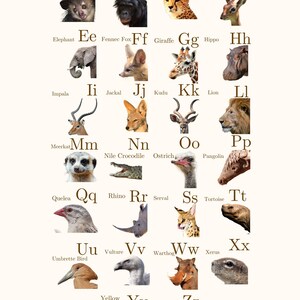 African Animal Alphabet Poster | Safari ABC Print | Nursery Wall Art ...