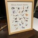 African Animals Alphabet Poster: Educational Wall Art - Etsy