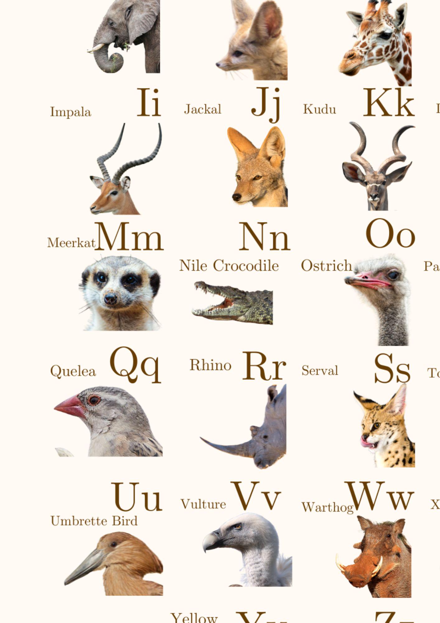 African Animal Alphabet Poster | Safari ABC Print | Nursery Wall Art ...