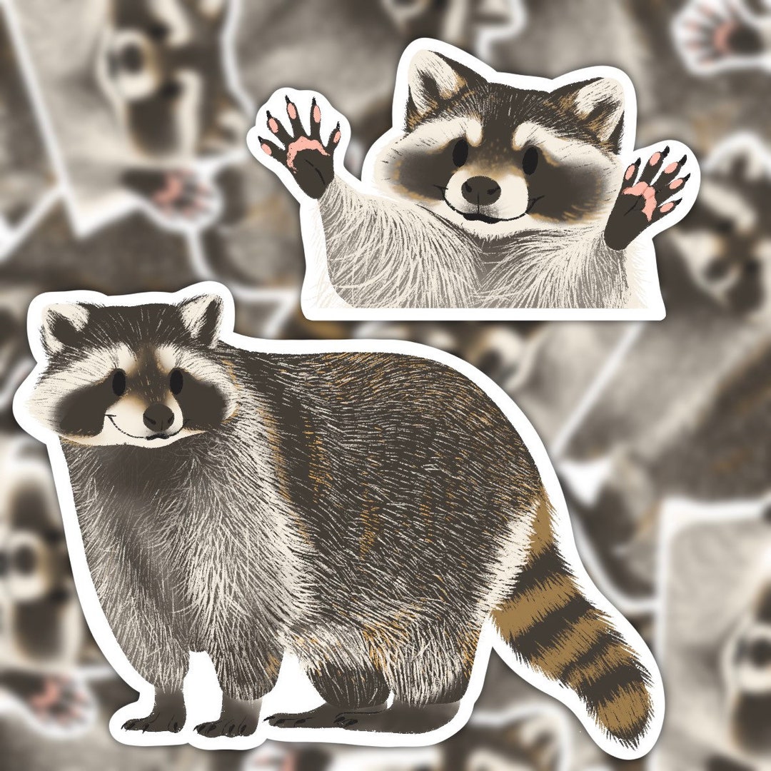 Cute Raccoon Sticker 2 Designs Available, 2 Sizes Available, Matte ...