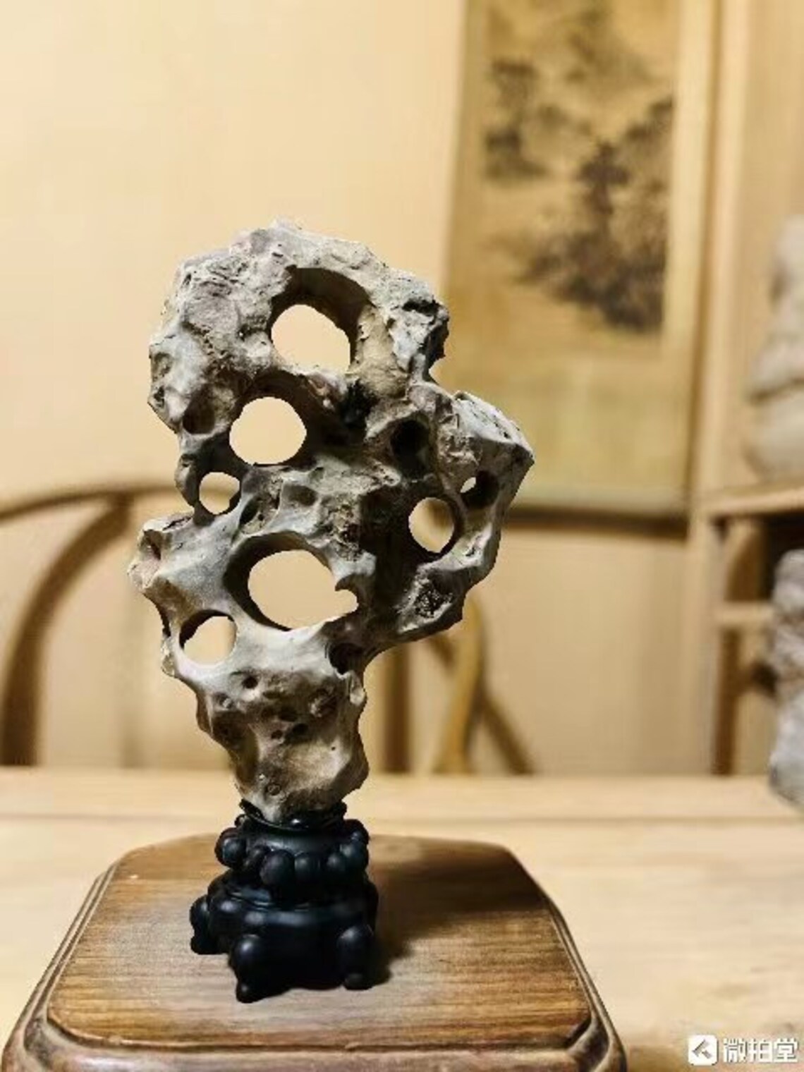 China Natural Stone Mountain Stones Bonsai Suiseki North Taihu - Etsy