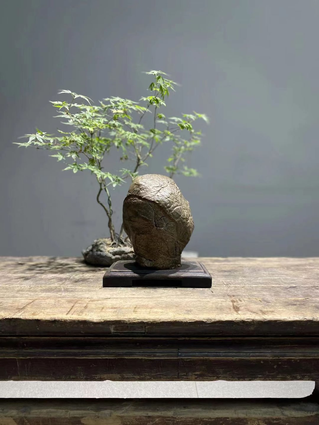 Old Collection China Natural Stone Mountain Stones Bonsai Suiseki Taihu ...