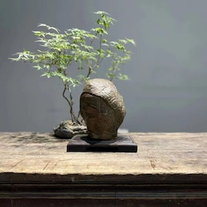 Old Collection China Natural Stone Mountain Stones Bonsai Suiseki Taihu ...