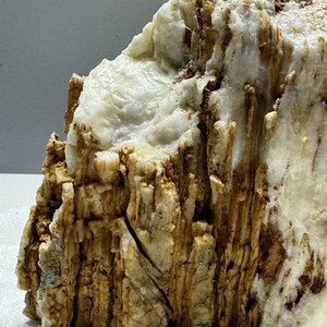 China Natural Stone Mountain Stones Bonsai Suiseki Xuan Stone 宣石 080701 ...