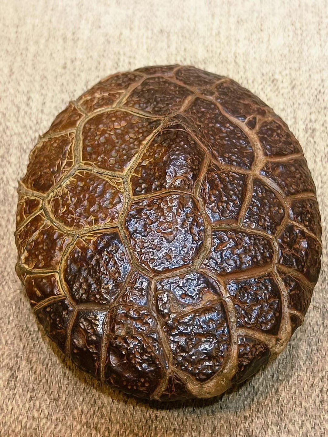 China Natural Stone "tortoise Back Pattern" Stone Moire Stone 080903 Tj ...