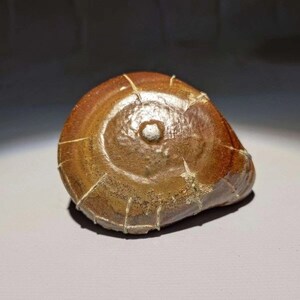 China Natural Stone "tortoise Back Pattern" Stone Moire Stone 062903 - Etsy