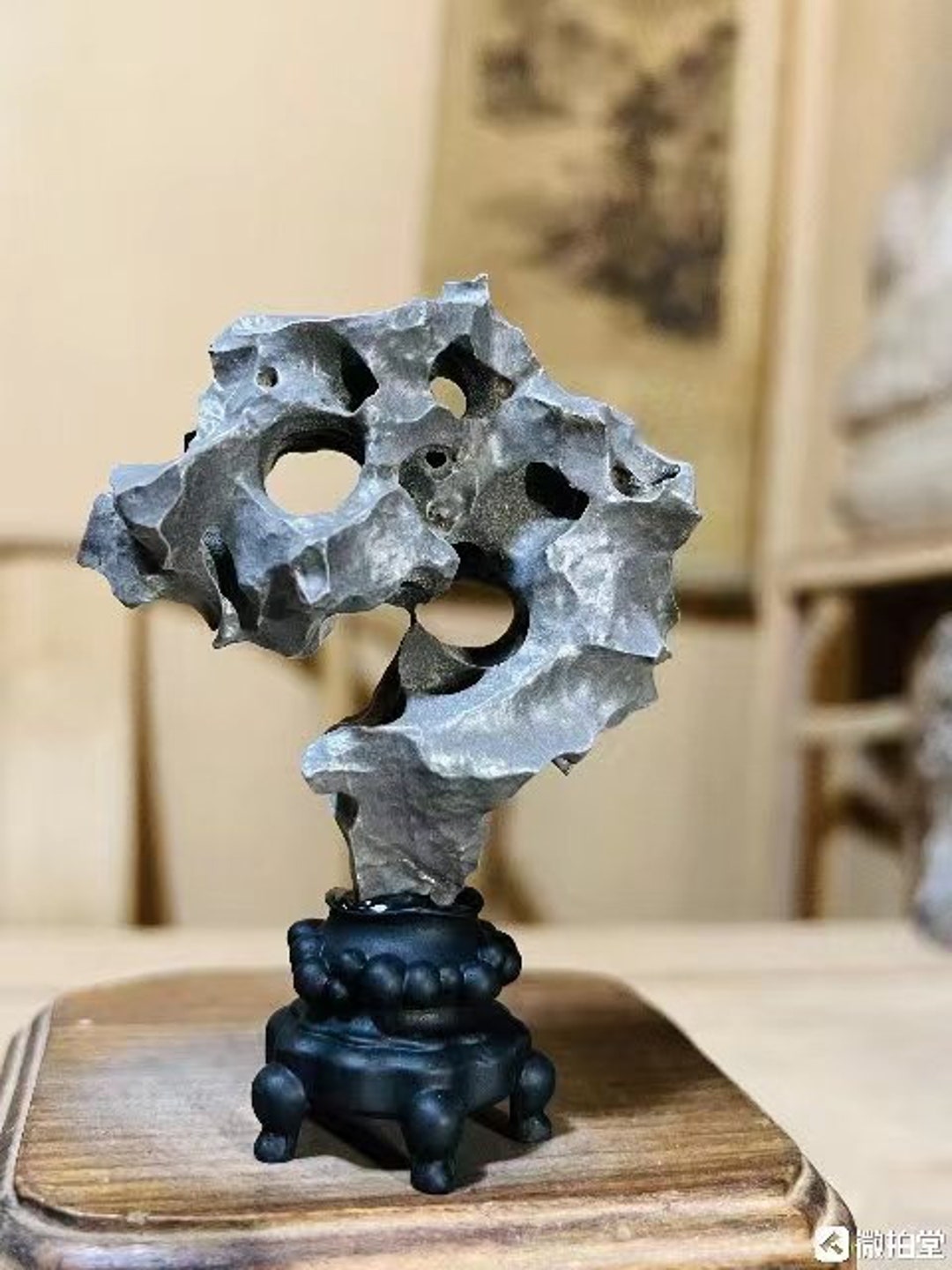 China Natural Stone Mountain Stones Bonsai Suiseki North Taihu - Etsy