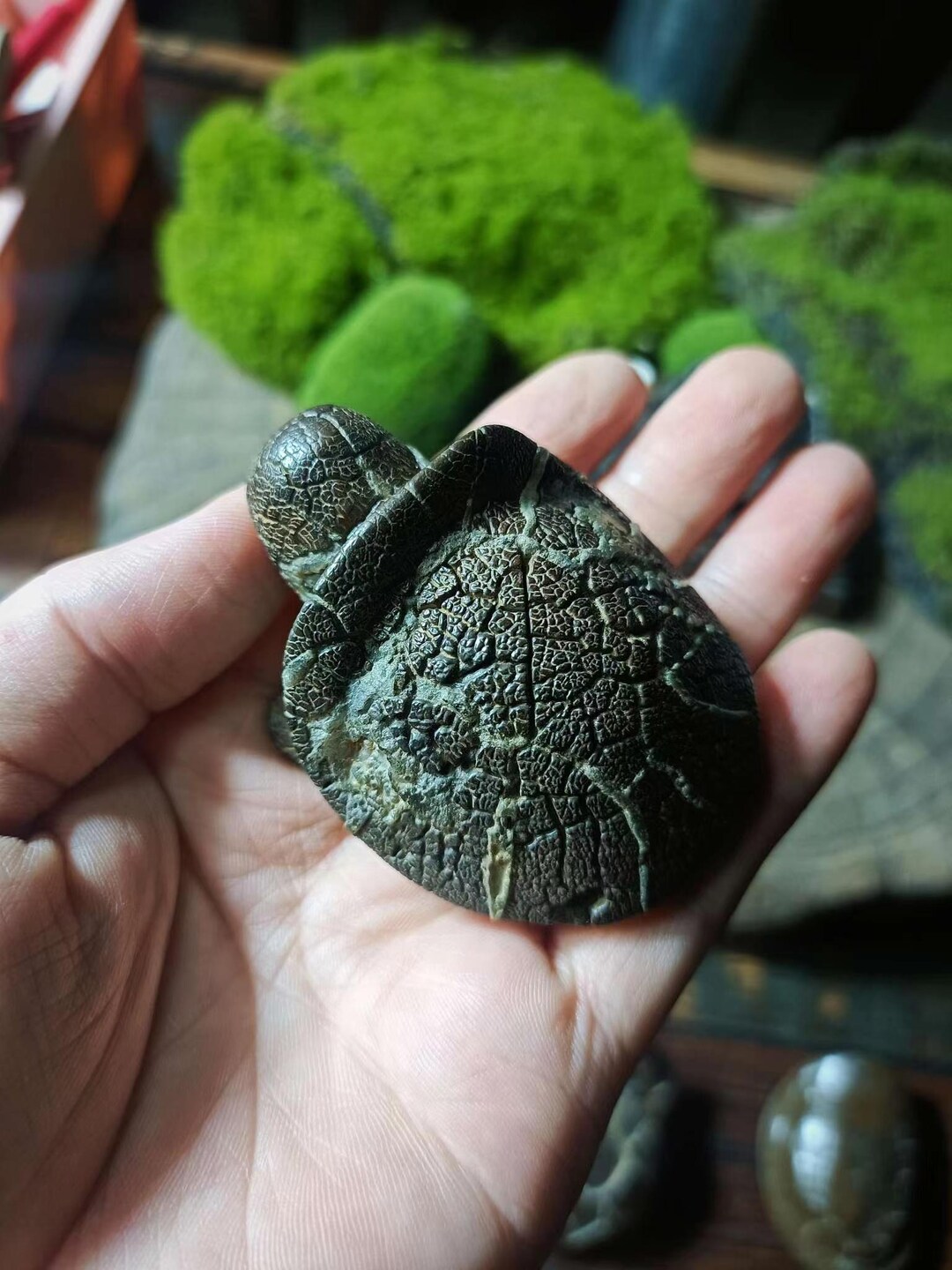 China Natural Stone "tortoise Back Pattern" Stone Moire Stone 071501 - Etsy