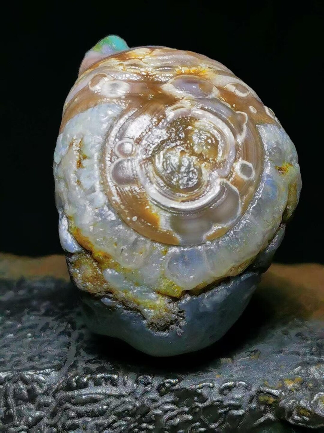 China Natural Stone Mountain Stones Bonsai Suiseki Alashan Desert Stone ...