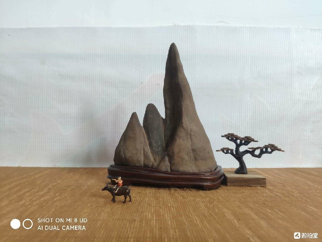 China Natural Stone Mountain Stones Bonsai Suiseki Guizhou Panjiang ...