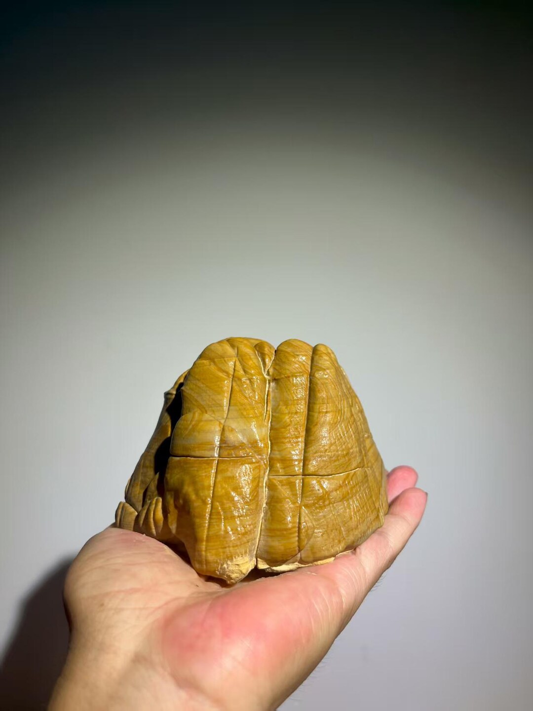 China Natural Stone Mountain Stones Bonsai Suiseki Songhua Stone 070601 ...