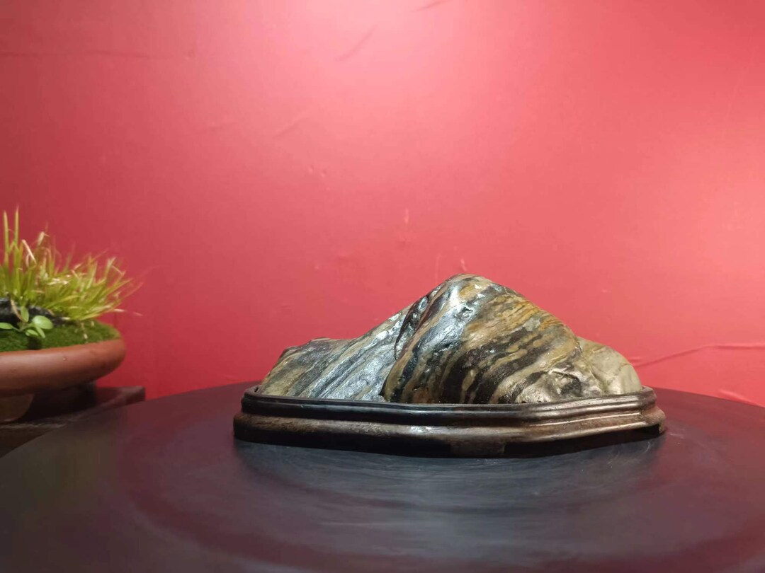 China Natural Stone Mountain Stones Bonsai Suiseki Nine Dragons Wall ...