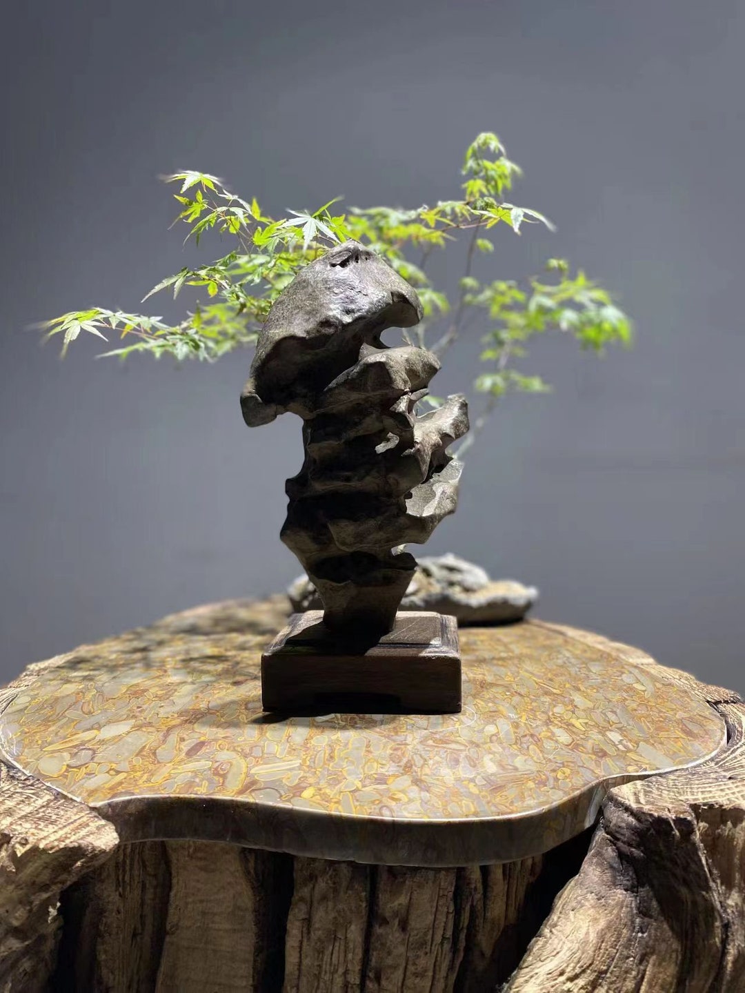 Old Collection China Natural Stone Mountain Stones Bonsai Suiseki Taihu ...