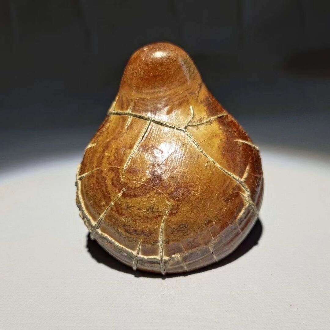 China Natural Stone "tortoise Back Pattern" Stone Moire Stone 062903 - Etsy