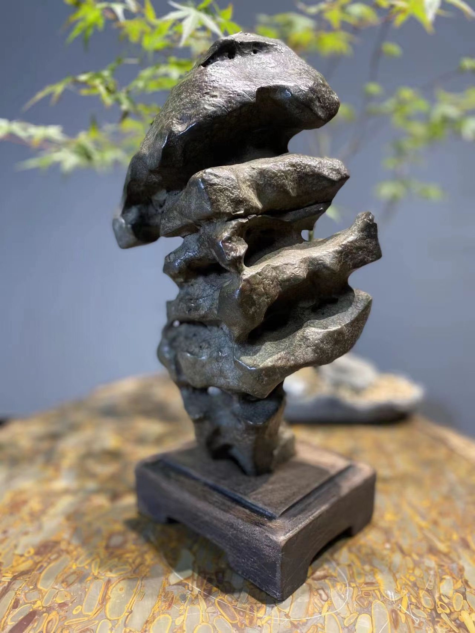 Old Collection China Natural Stone Mountain Stones Bonsai Suiseki Taihu ...