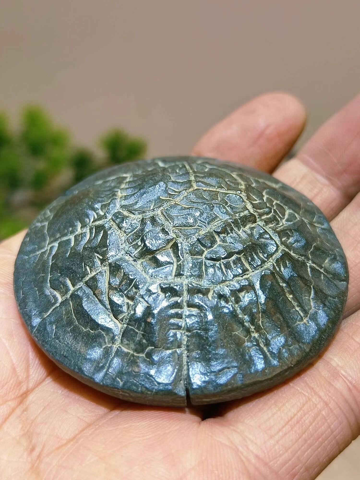 China Natural Stone "tortoise Back Pattern" Stone Moire Stone 051604 - Etsy