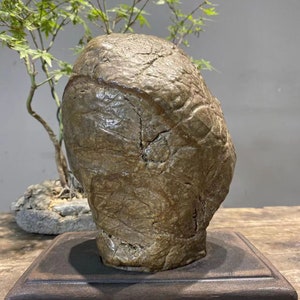 Old Collection China Natural Stone Mountain Stones Bonsai Suiseki Taihu ...