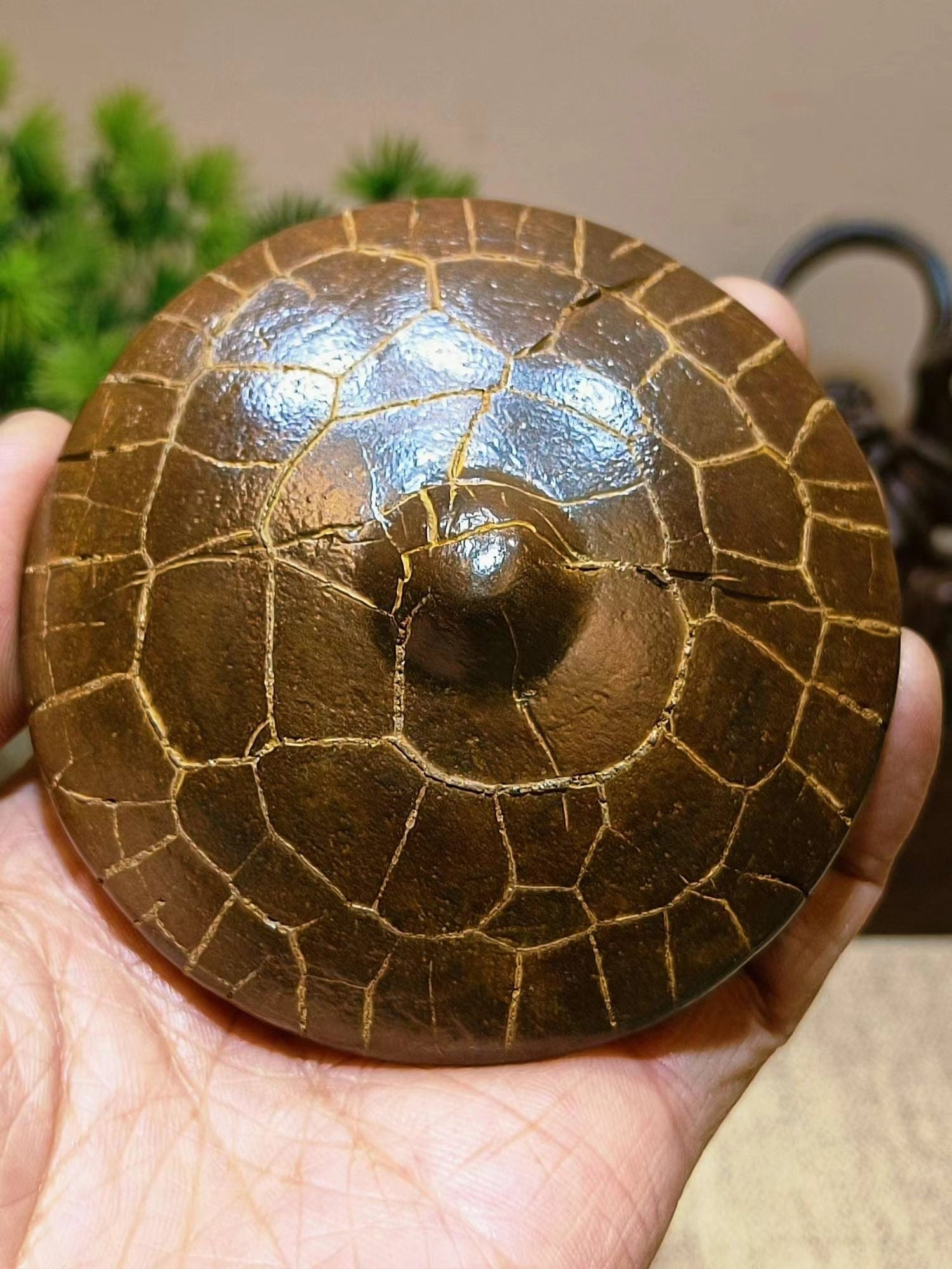 China Natural Stone "tortoise Back Pattern" Stone Moire Stone 042101 - Etsy