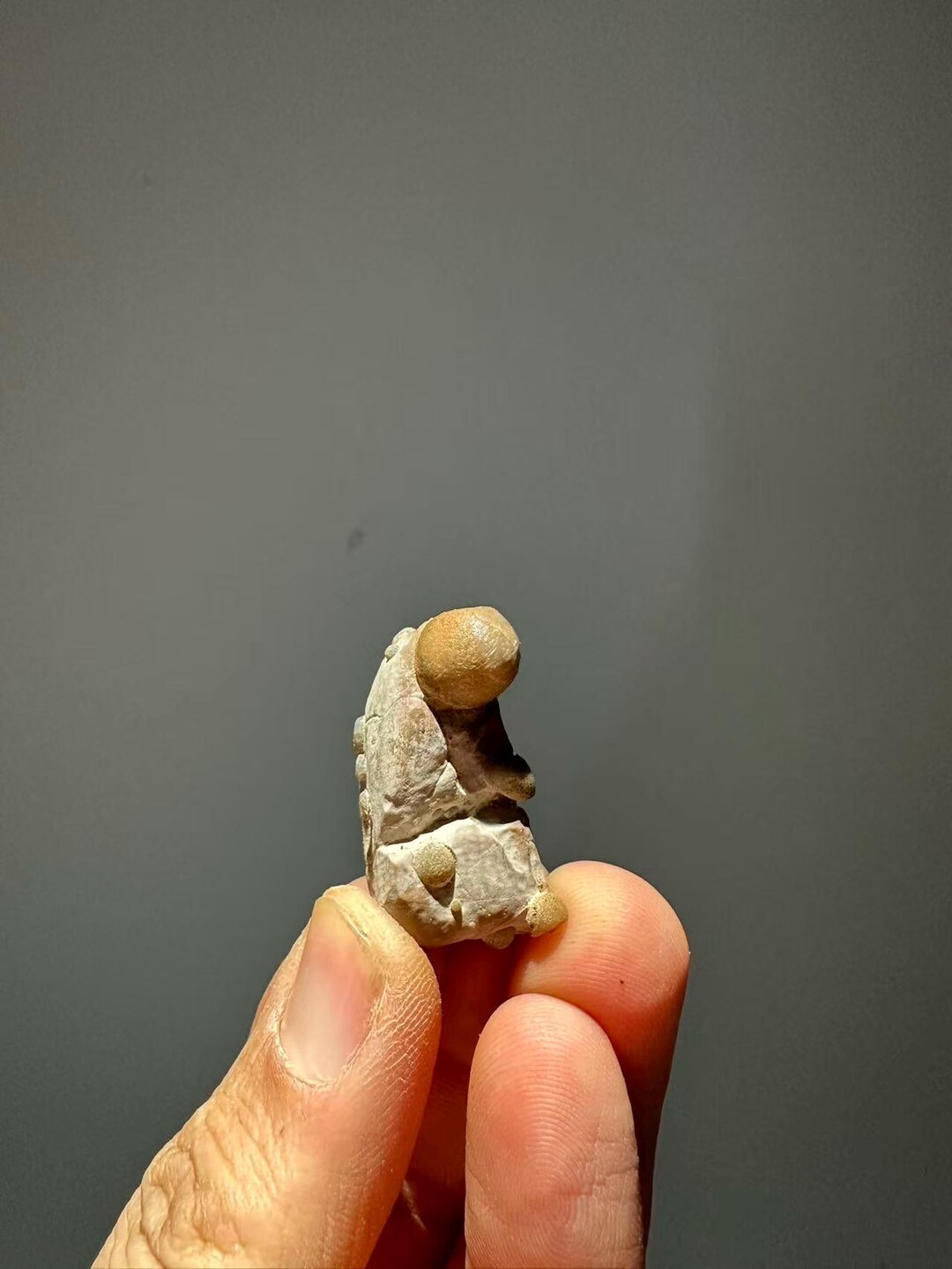 China Natural Stone Mountain Stones Bonsai Suiseki Lingbi Stone 020501 ...