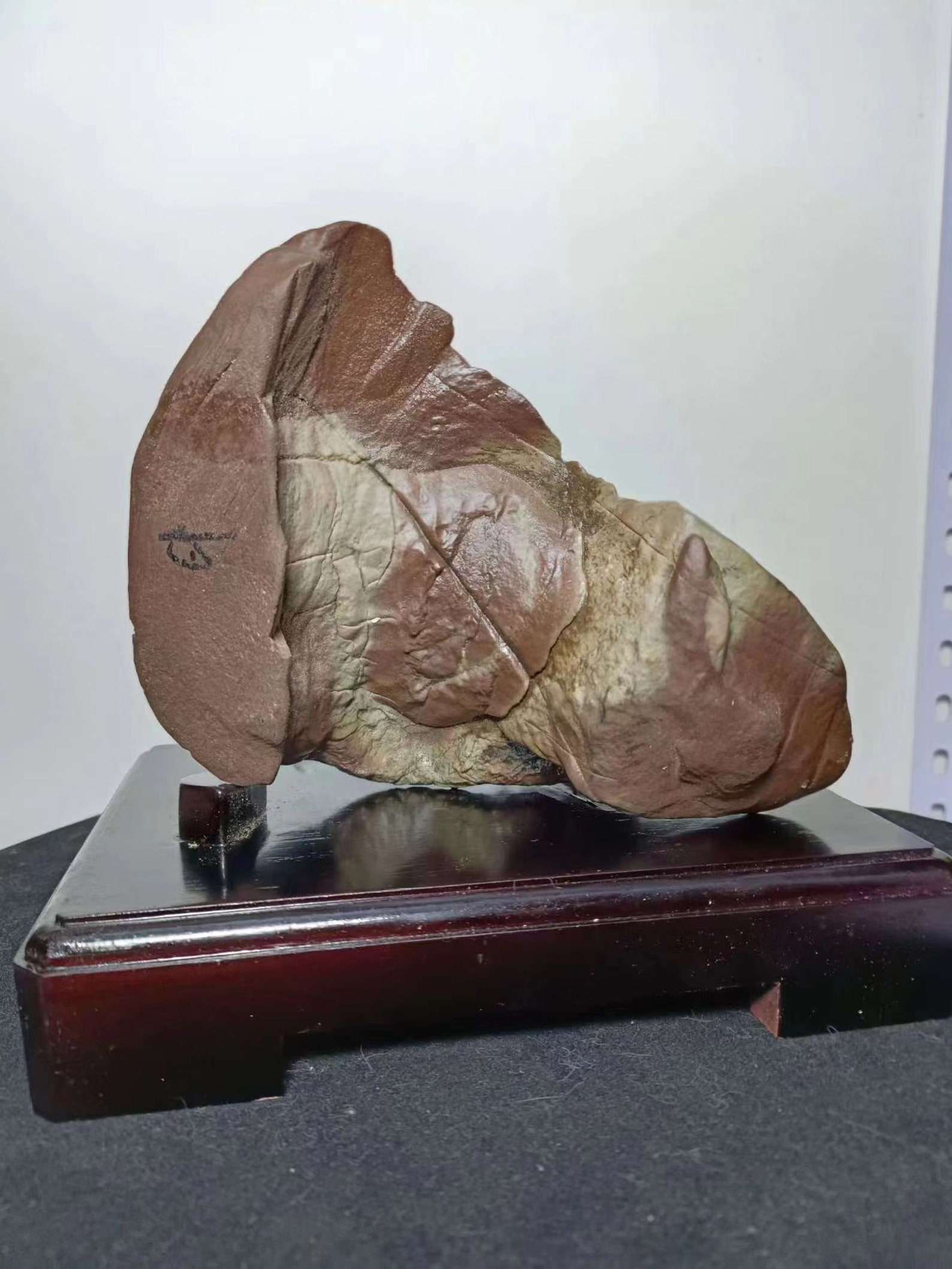 China Natural Stone Mountain Stones Bonsai Suiseki Songhua Stone ...