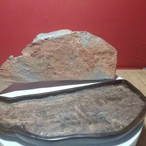 China Natural Stone Mountain Stones Bonsai Suiseki Lingbi Stone 061701 ...