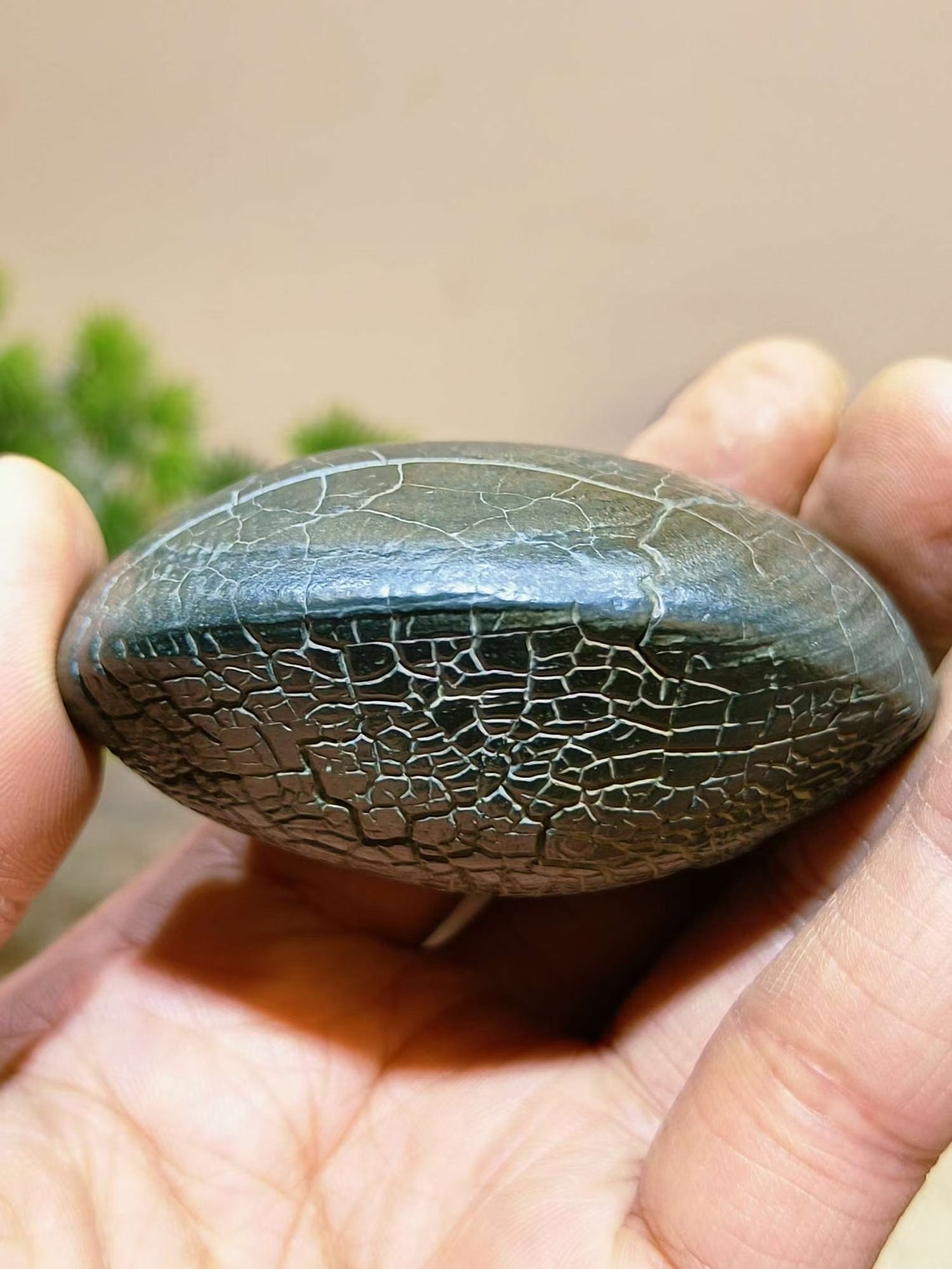 China Natural Stone "tortoise Back Pattern" Stone Moire Stone 052702 - Etsy