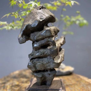 Old Collection China Natural Stone Mountain Stones Bonsai Suiseki Taihu ...