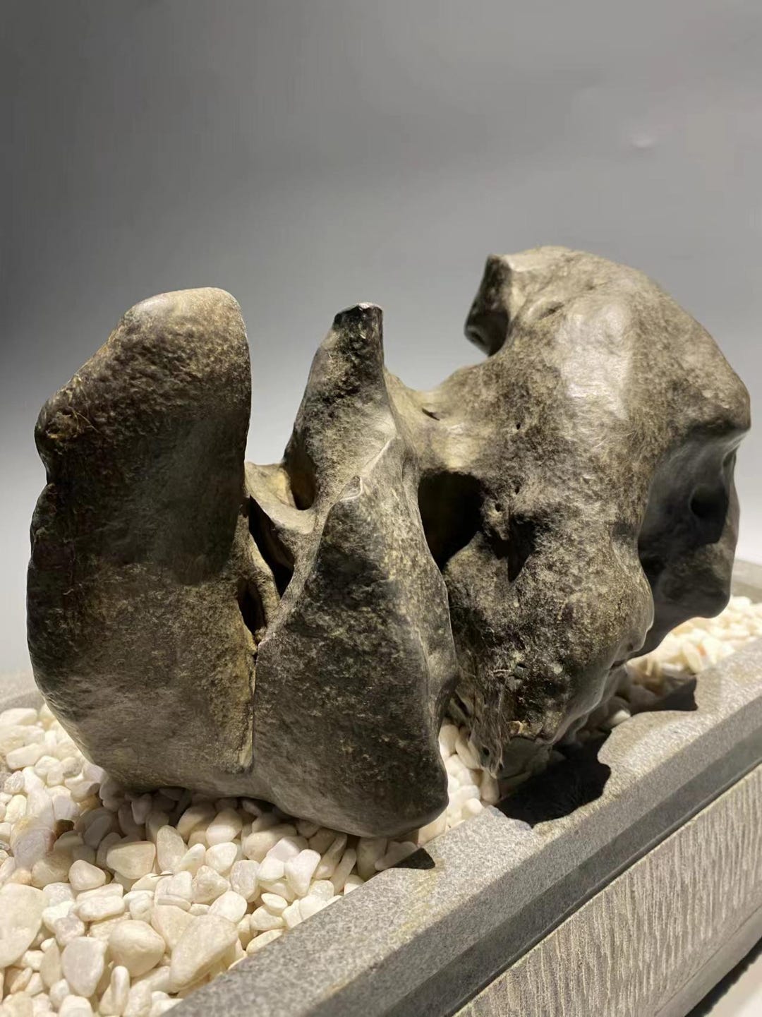 Old Collection China Natural Stone Mountain Stones Bonsai Suiseki Taihu ...