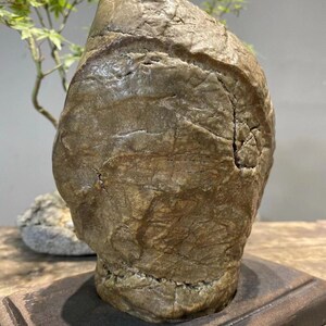 Old Collection China Natural Stone Mountain Stones Bonsai Suiseki Taihu ...