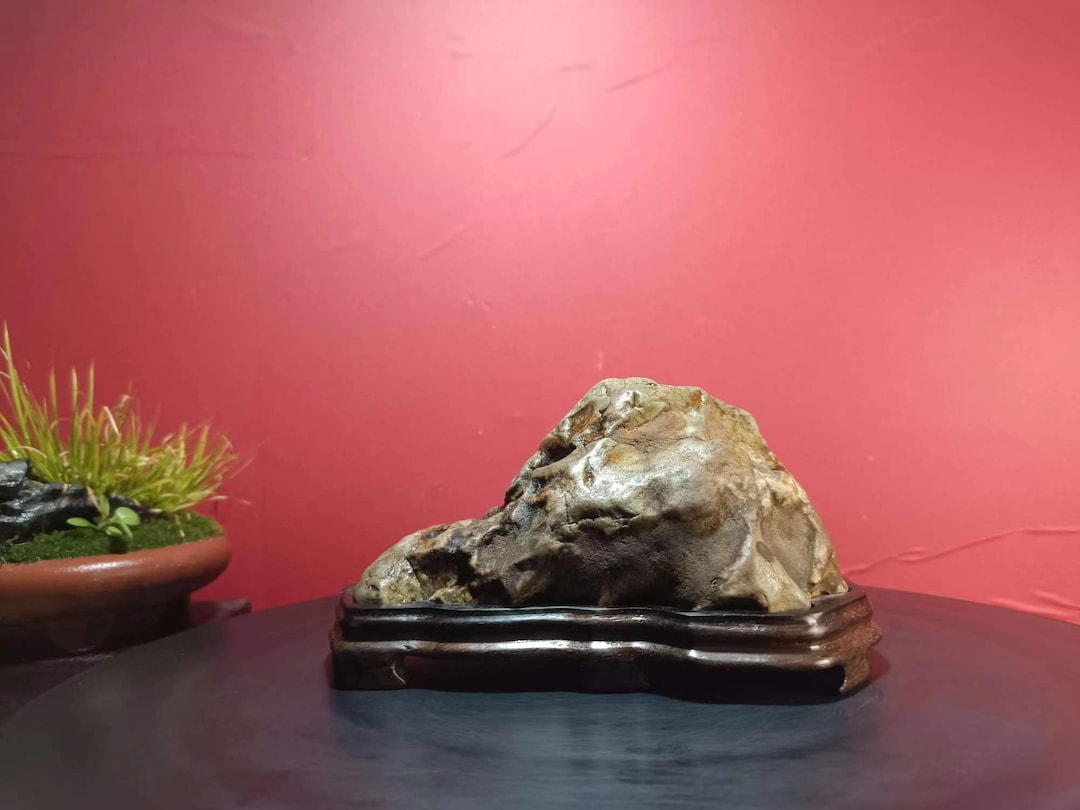 China Natural Stone Mountain Stones Bonsai Suiseki Nine Dragons Wall ...