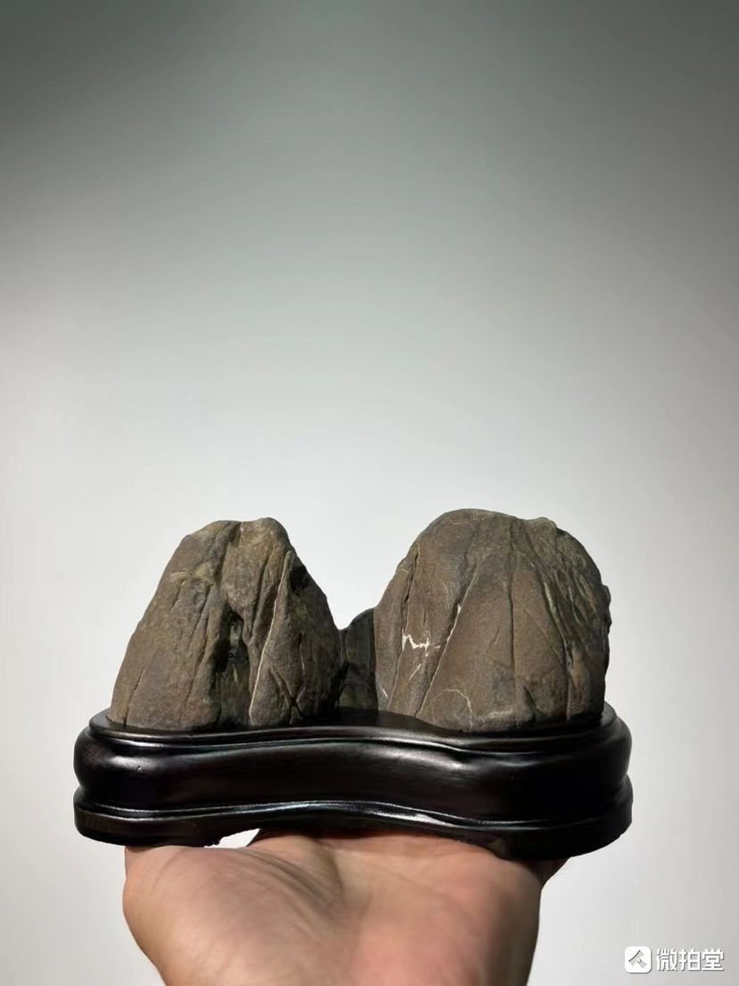 China Natural Stone Mountain Stones Bonsai Suiseki Guizhou Panjiang ...