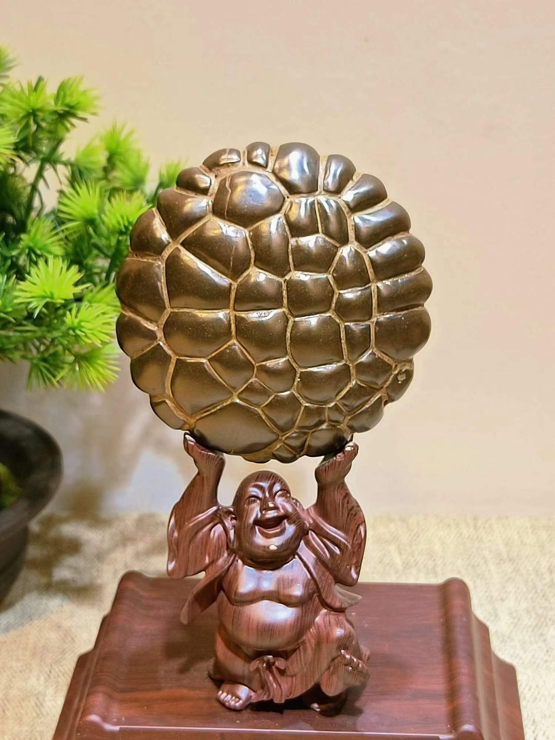 China Natural Stone "tortoise Back Pattern" Stone Moire Stone 121001 - Etsy