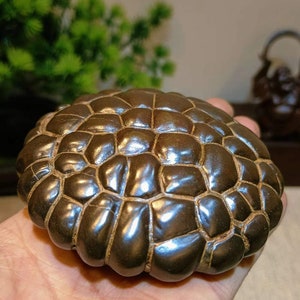 China Natural Stone "tortoise Back Pattern" Stone Moire Stone 121001 - Etsy