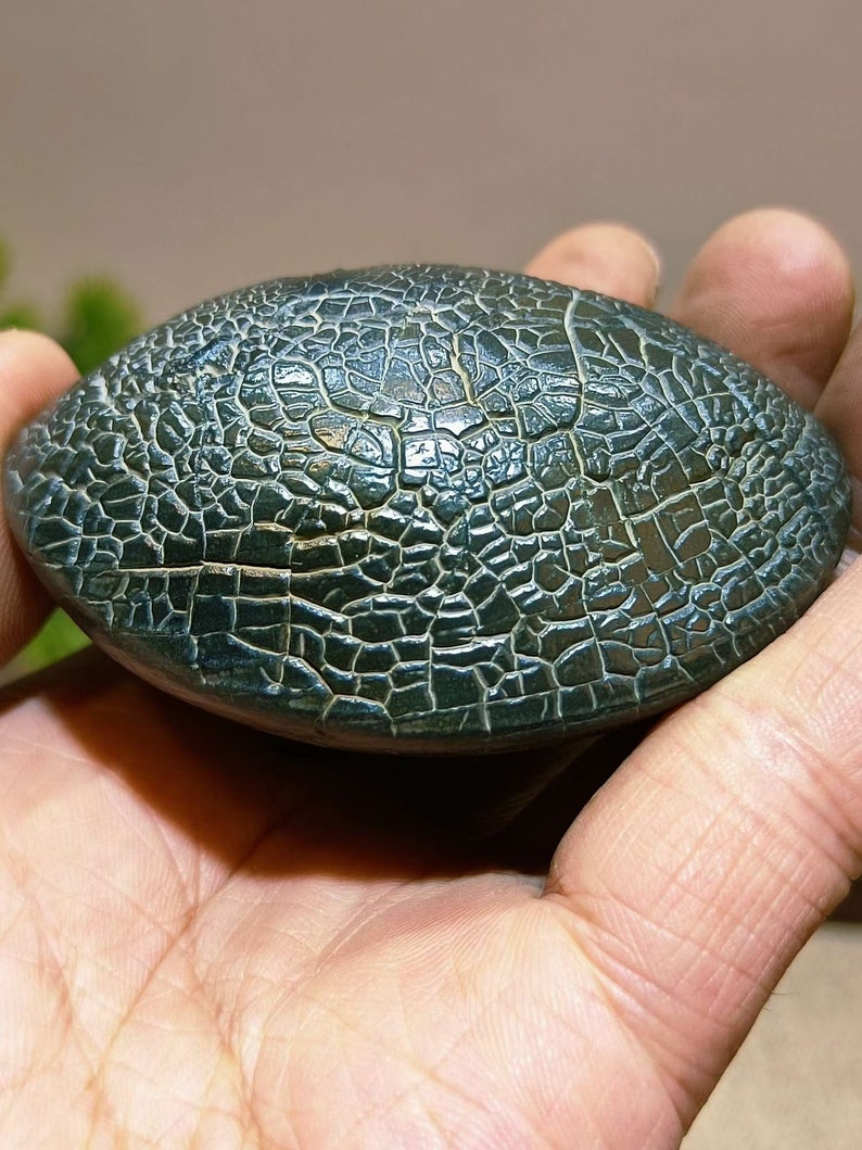 China Natural Stone "tortoise Back Pattern" Stone Moire Stone 052702 - Etsy