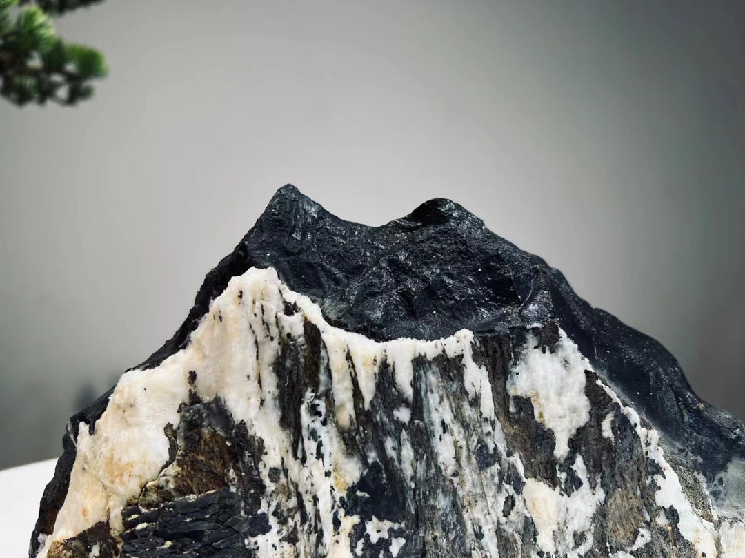 China Natural Stone Mountain Stones Bonsai Suiseki Xuan Stone 宣石 020405 ...